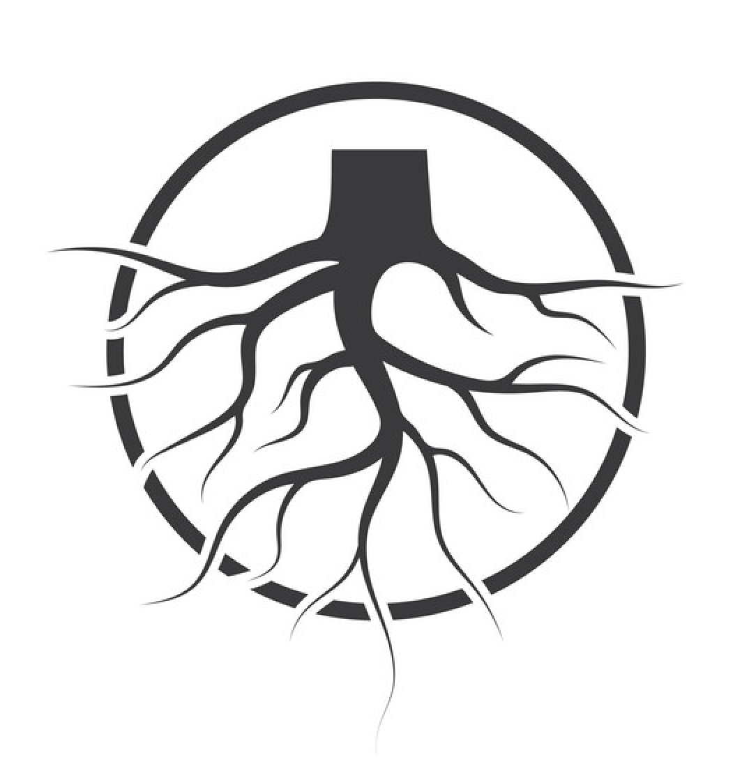 Deep Roots – Reflections on family history, identity and geography